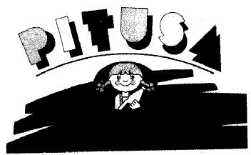 LA PITUSA SA (CIF A28192946) - Informe de la empresa